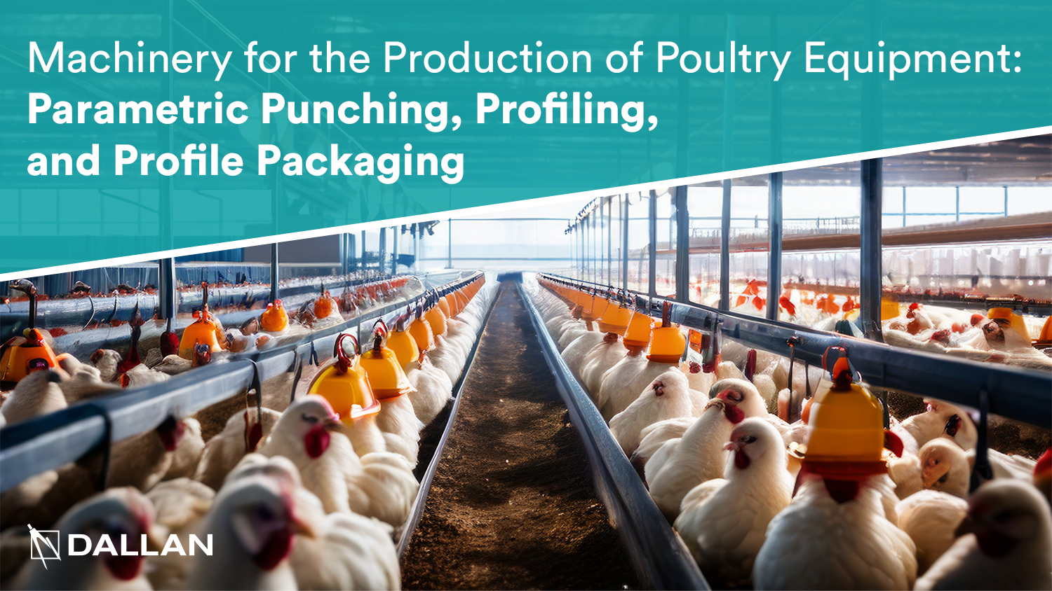 Machinery for the Production of Poultry Equipment | DALLAN