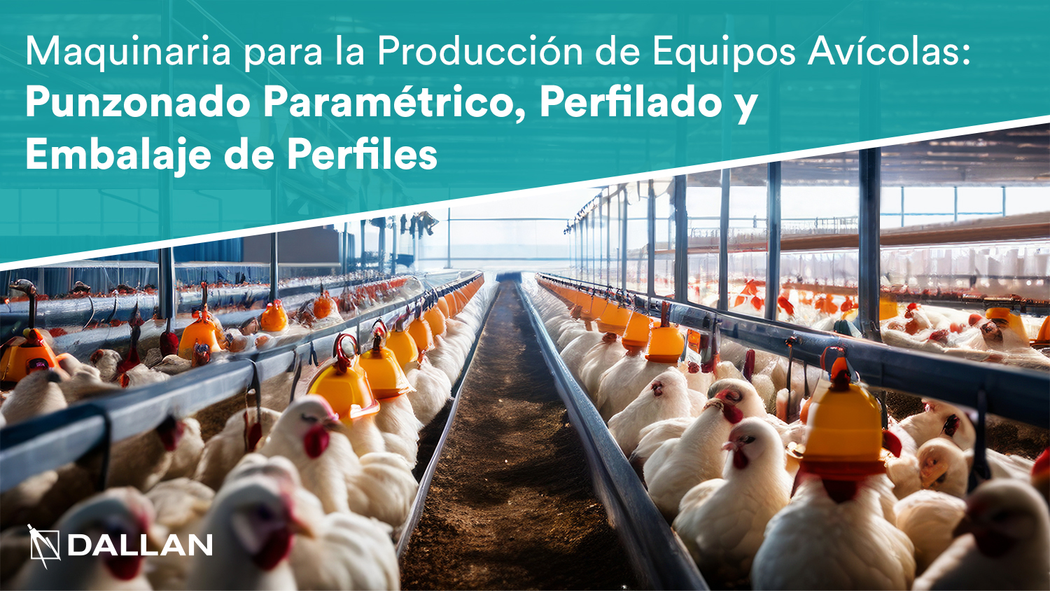 Maquinaria para la Producción de Equipos Avícolas | DALLAN